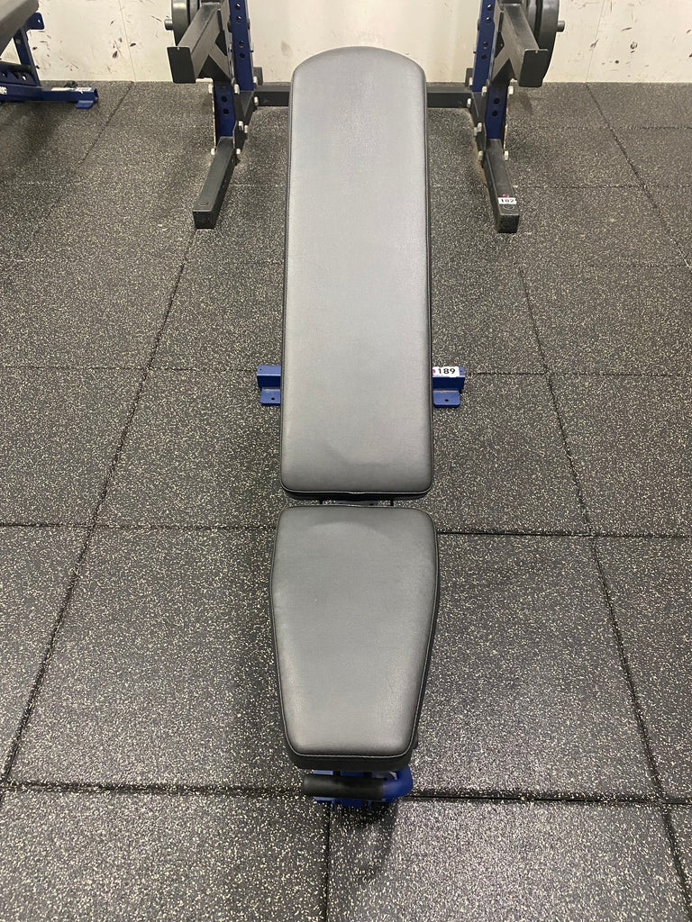 Dynamic Accell Stand Up Adjustable Bench | CFF Strength Equipment