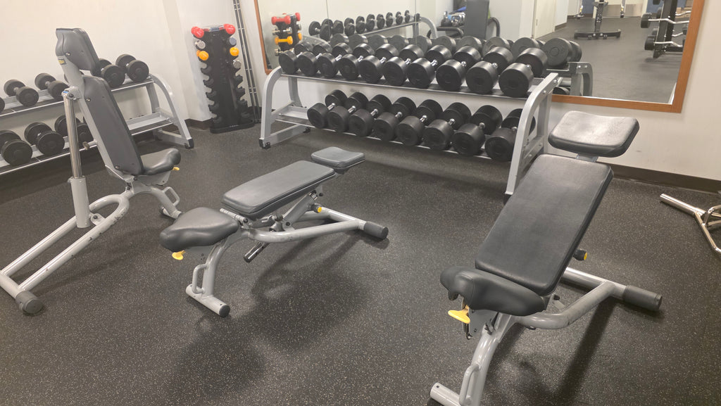 Technogym PA04 Adjustable Bench | Commercial Utility Bench | CFF ...